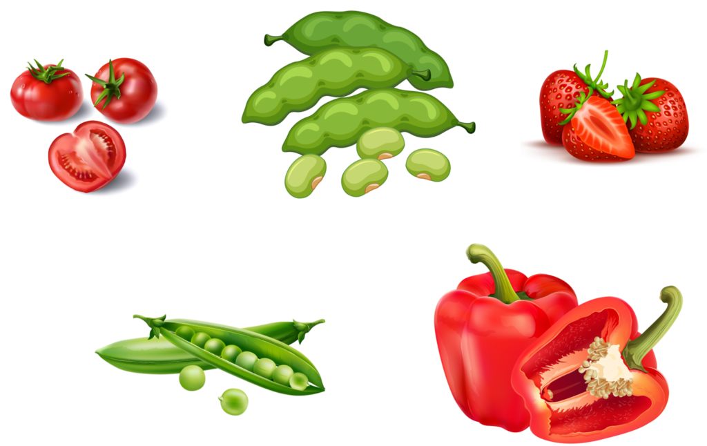 Growing our own food: from seed to plant! - Esplora Esplora