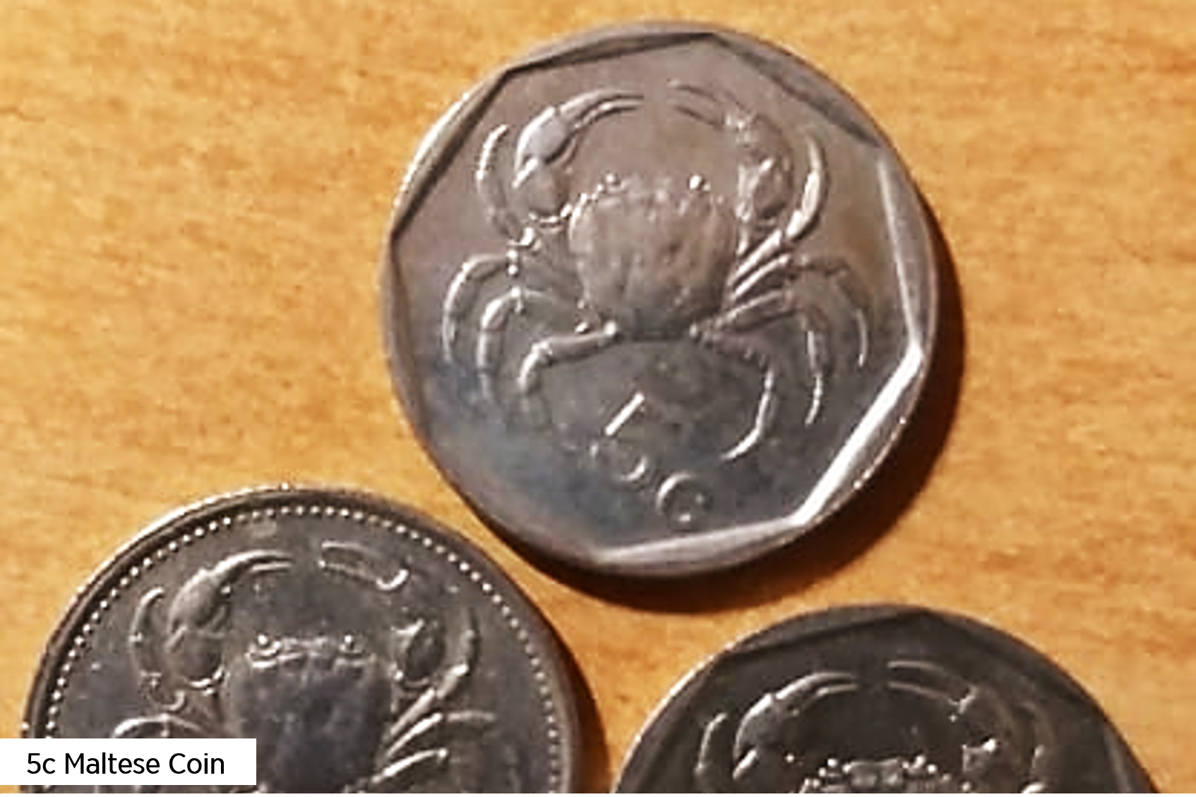 Explore the Animal Kingdom Series II - Esplora