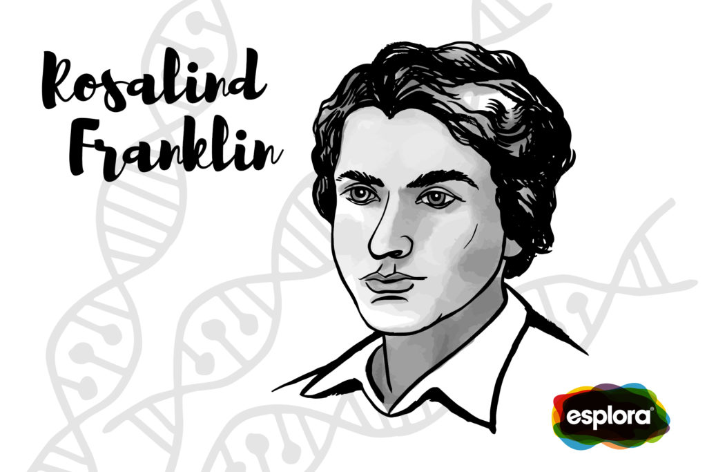 The British Scientist who discovered DNA structure - Esplora